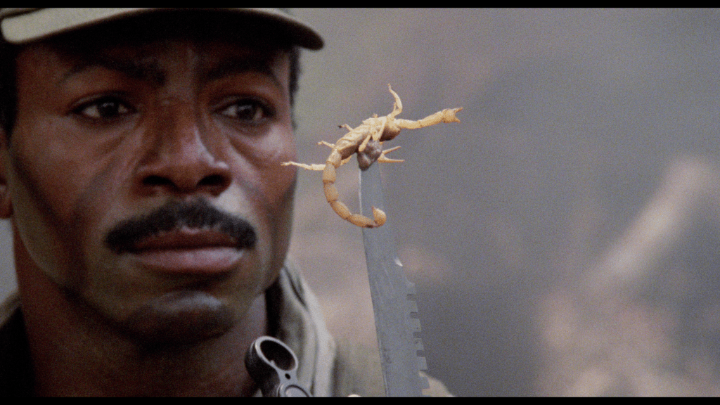 Predator – 4K UHD Blu-ray Screenshots | HighDefDiscNews.com