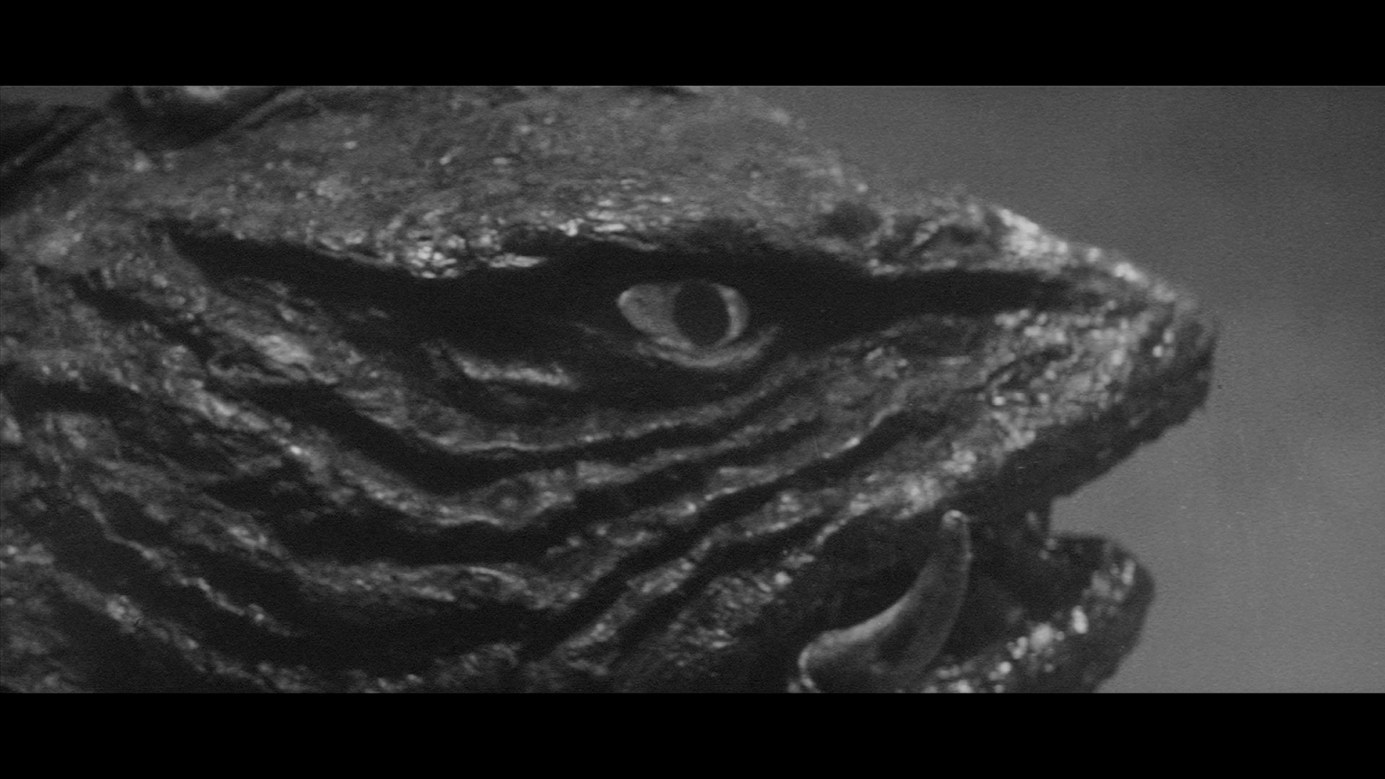 Gamera: The Giant Monster – Blu-ray Screenshots | HighDefDiscNews.com