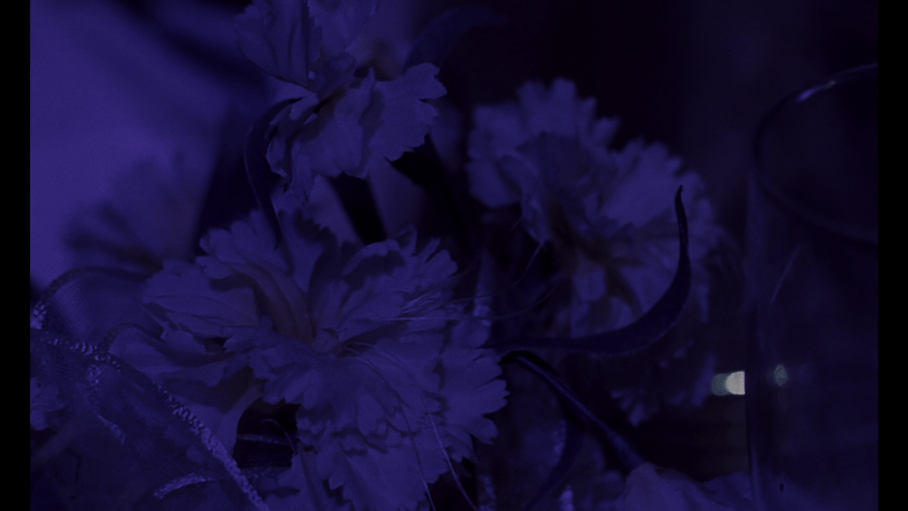 Daughters Of Darkness 4k Uhd Blu Ray Screenshots