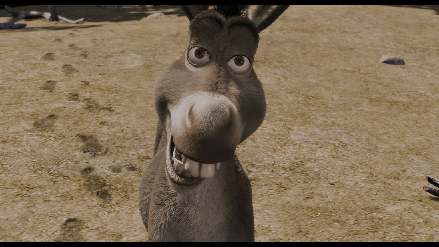 shrek_4k_15 | HighDefDiscNews.com